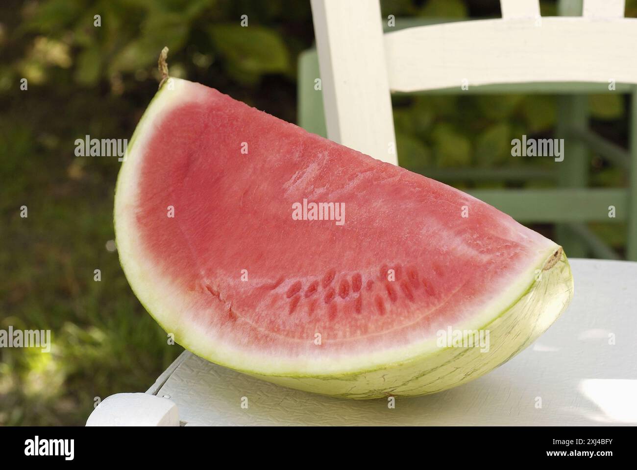 Watermelon chair hi-res stock photography and images - Alamy
