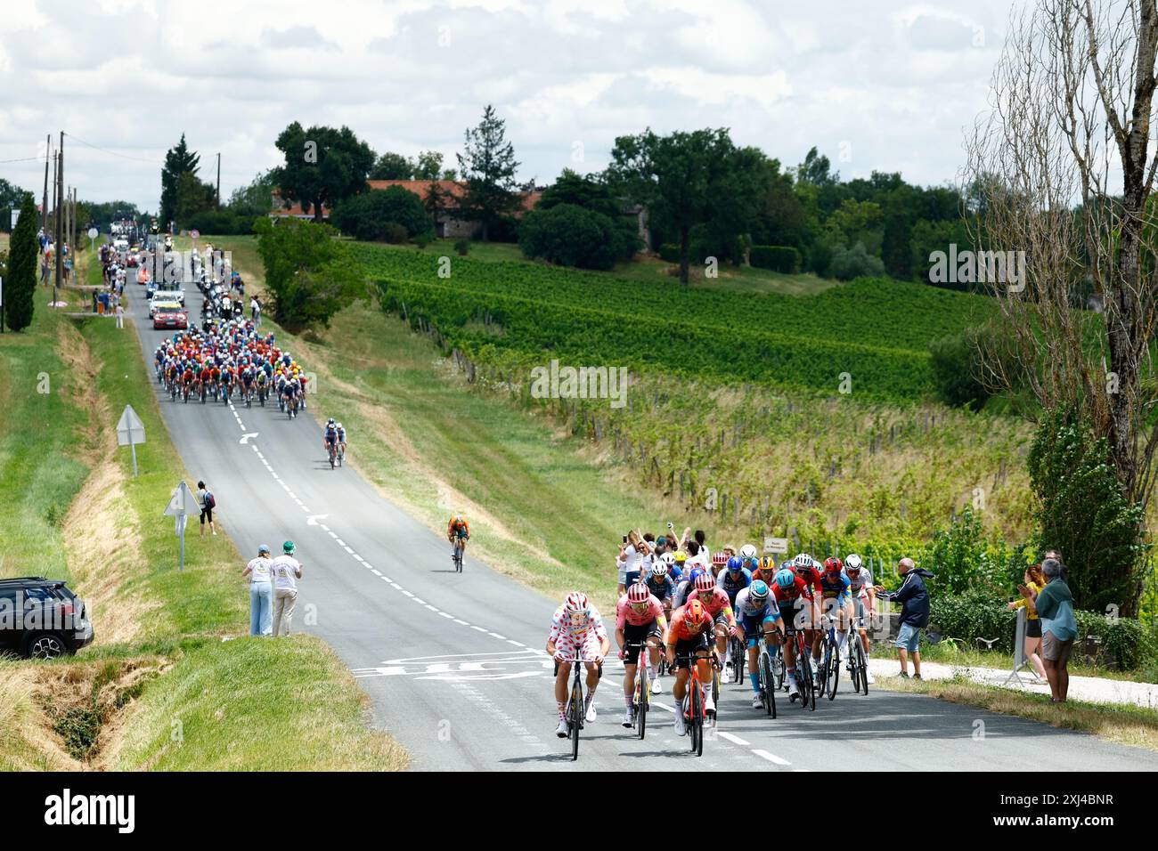 PAU, FRANCE - JULY 12 : during stage 13 of the 111th edition of the ...