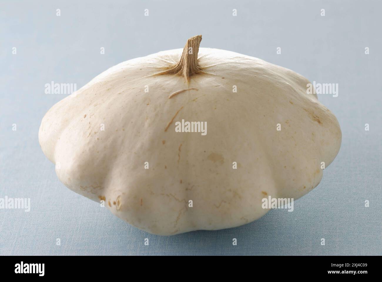 White squash melon Stock Photo - Alamy