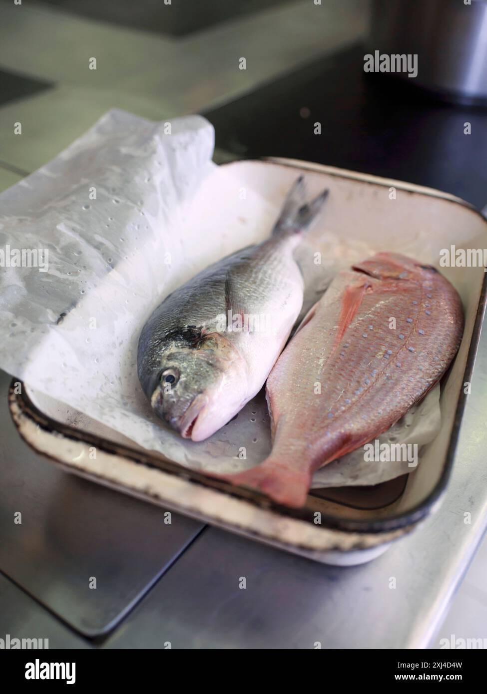 Fresh sea breams Stock Photo - Alamy