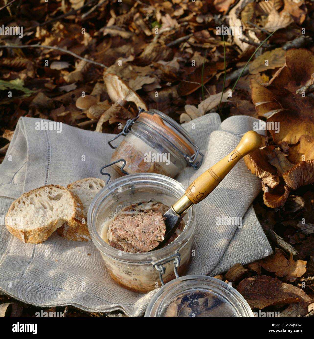 Wild boar terrine Stock Photo - Alamy