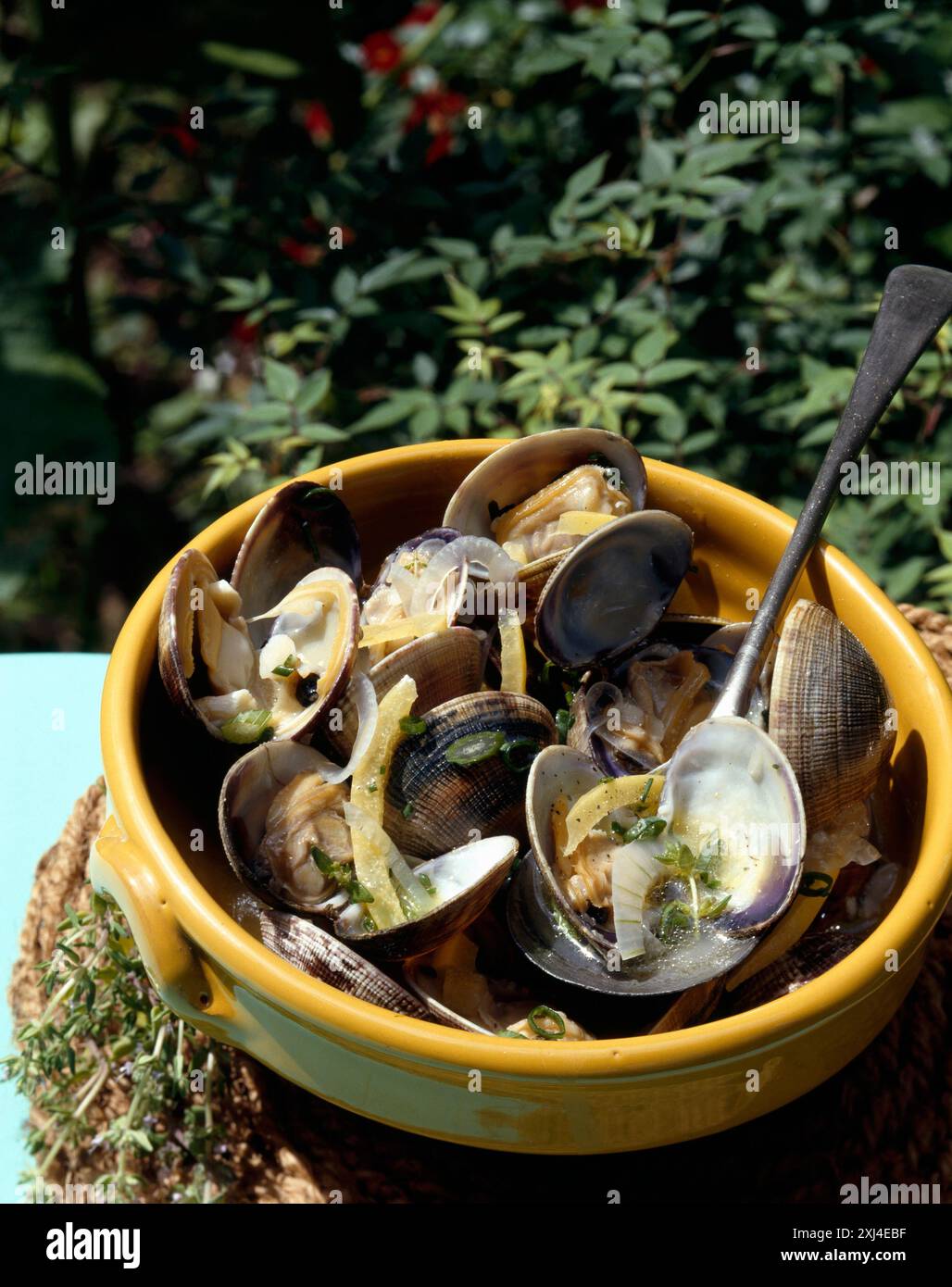 Littleneck clams with broth Stock Photo - Alamy