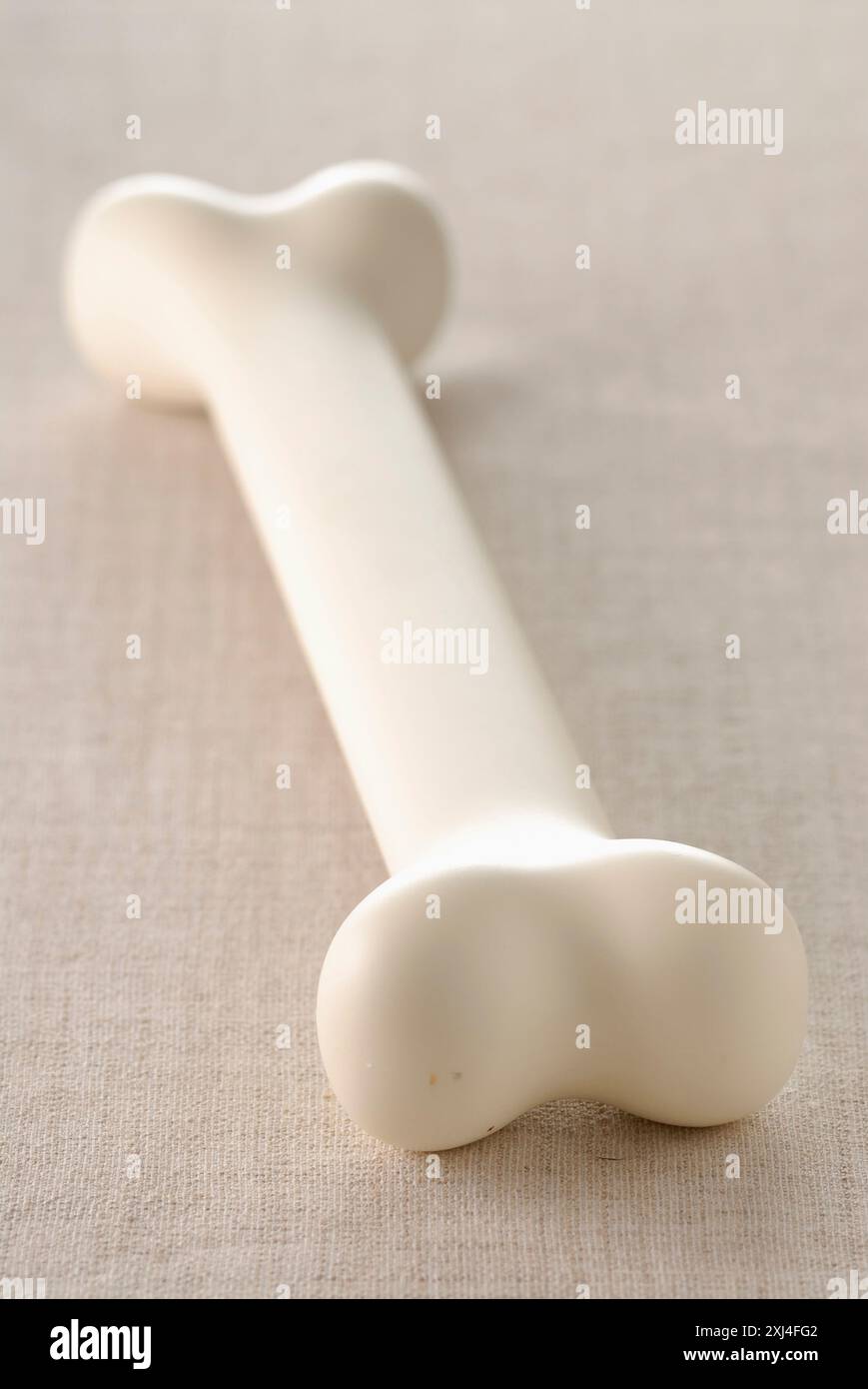 Bone white color hi-res stock photography and images - Alamy