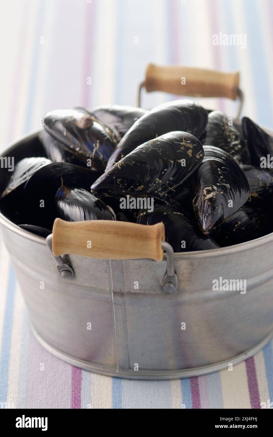 Bucket of mussels Stock Photo - Alamy