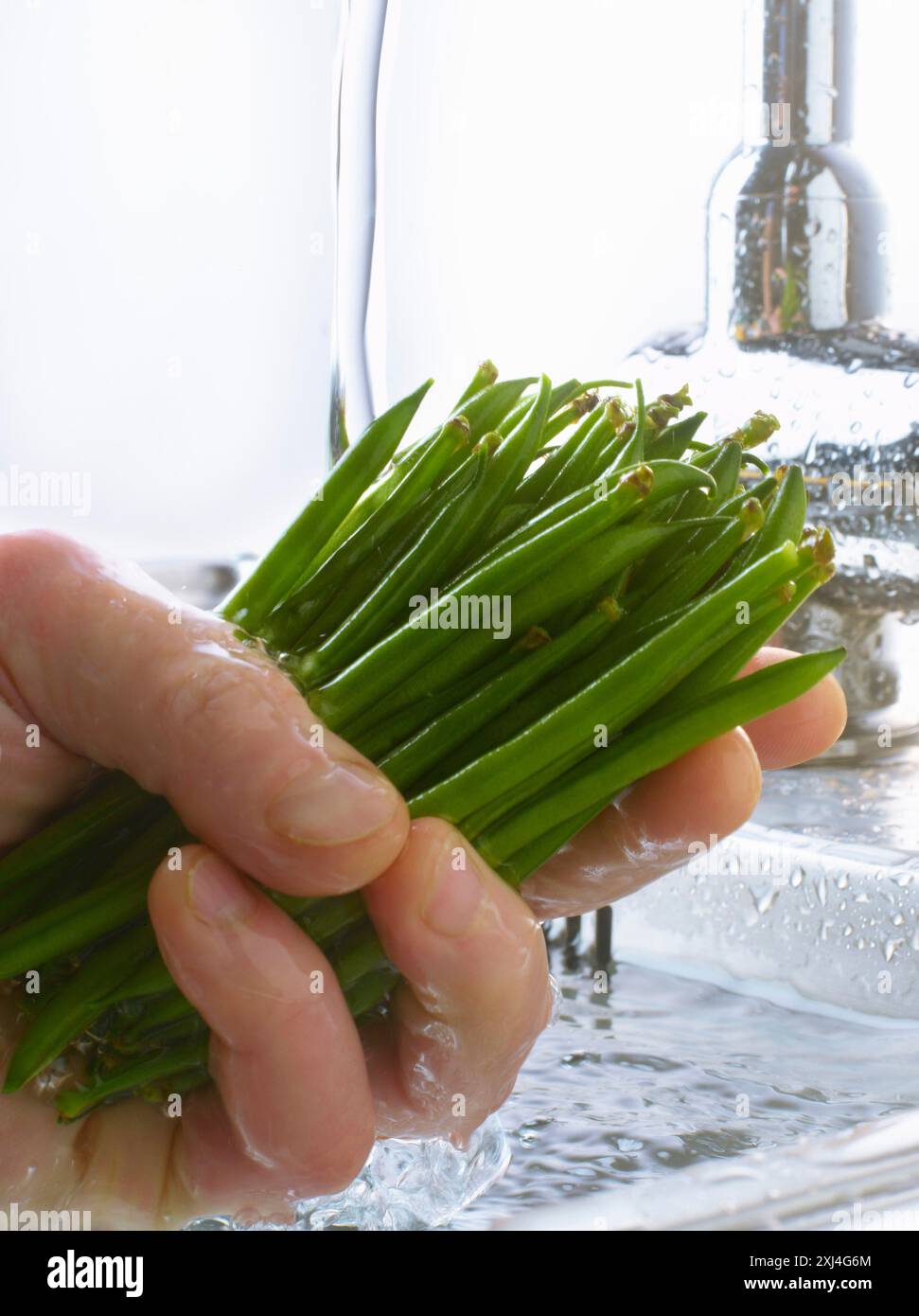 Rinsing green beans under the tap water Stock Photo - Alamy