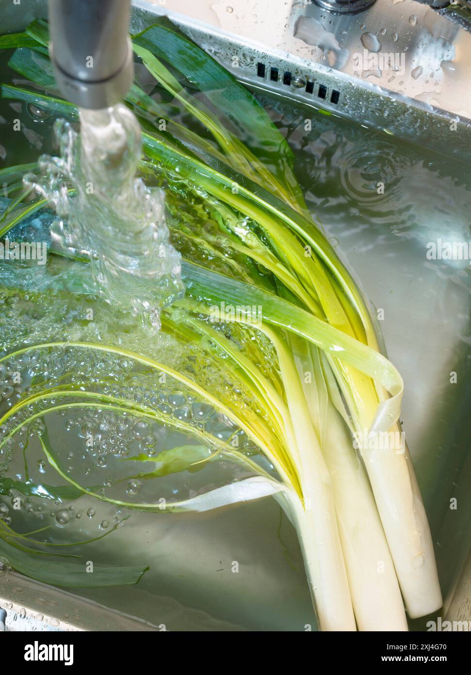 Washing leeks in the sink Stock Photo - Alamy