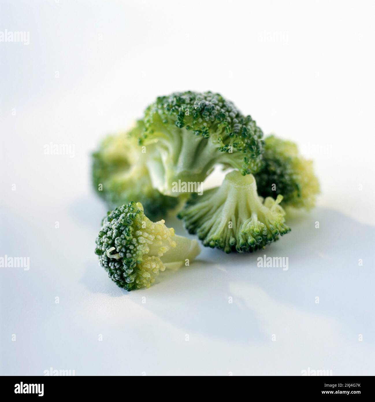 Broccolis hi-res stock photography and images - Alamy
