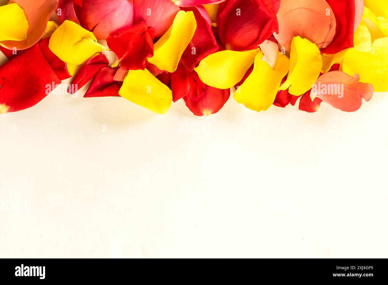 Structured elements hi-res stock photography and images - Alamy