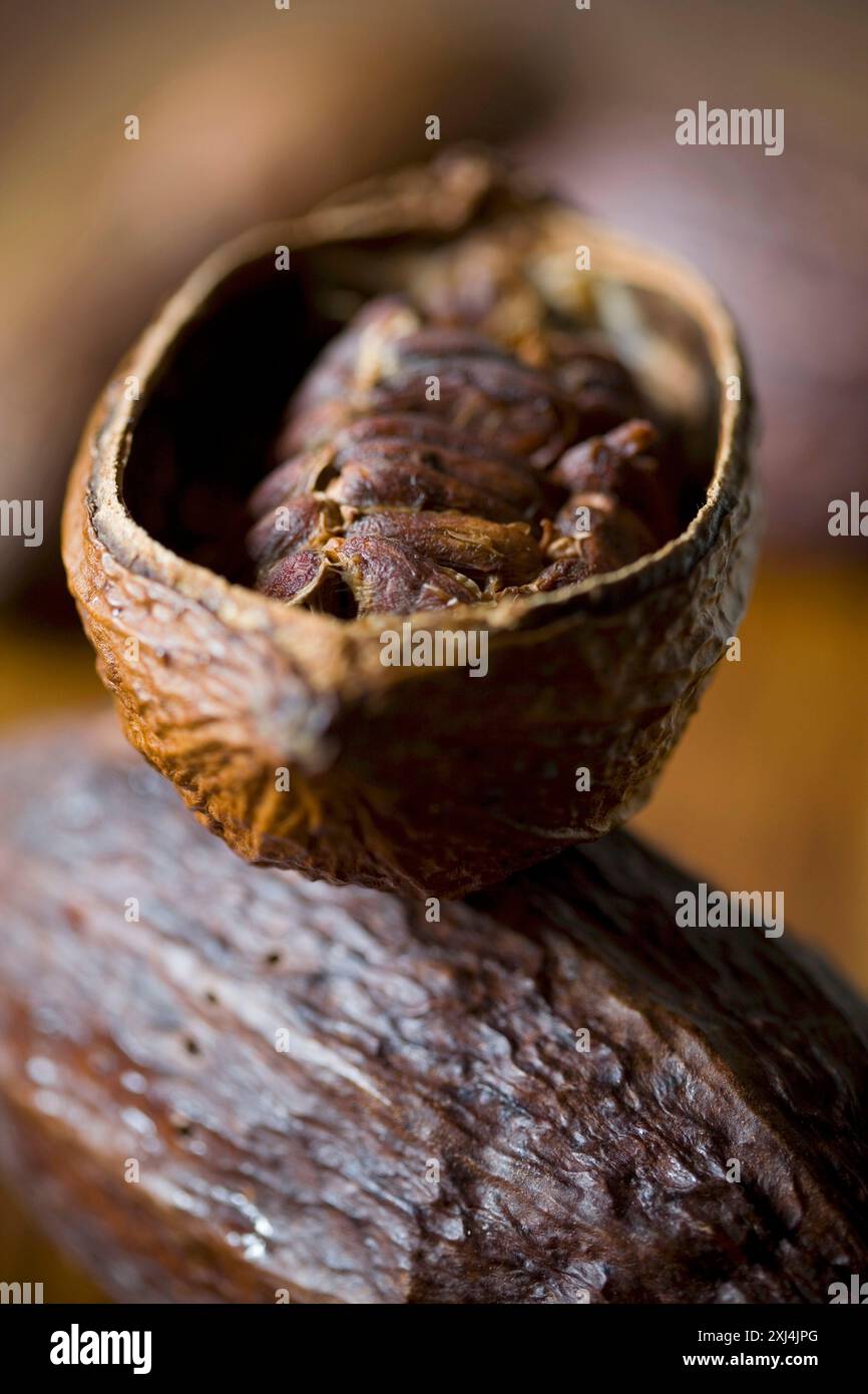 Open cocoa bean hi-res stock photography and images - Alamy