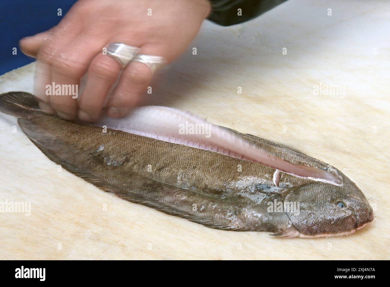 Taking the fillets of the plaice Stock Photo - Alamy
