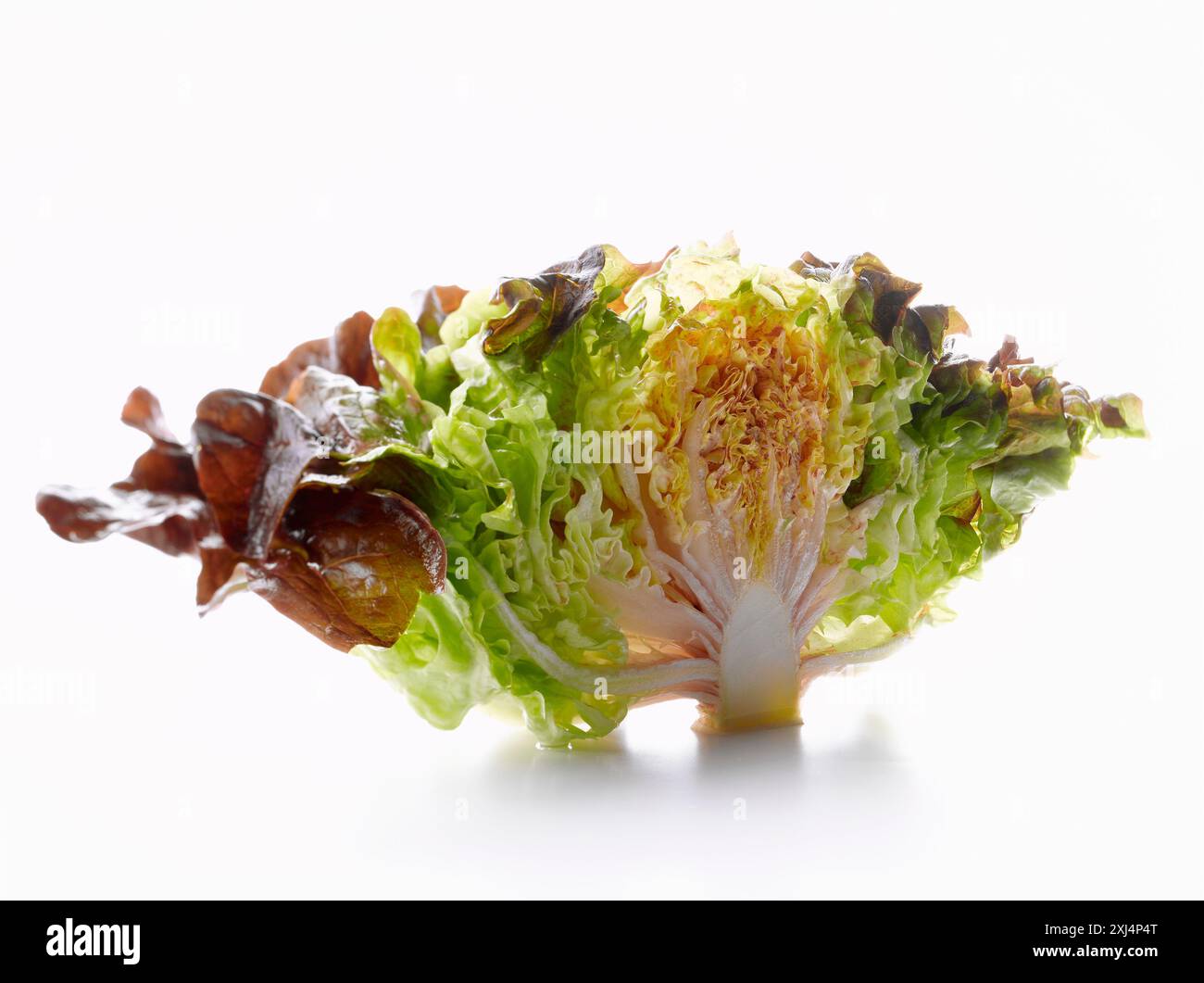 Lettuce cut in half Stock Photo - Alamy