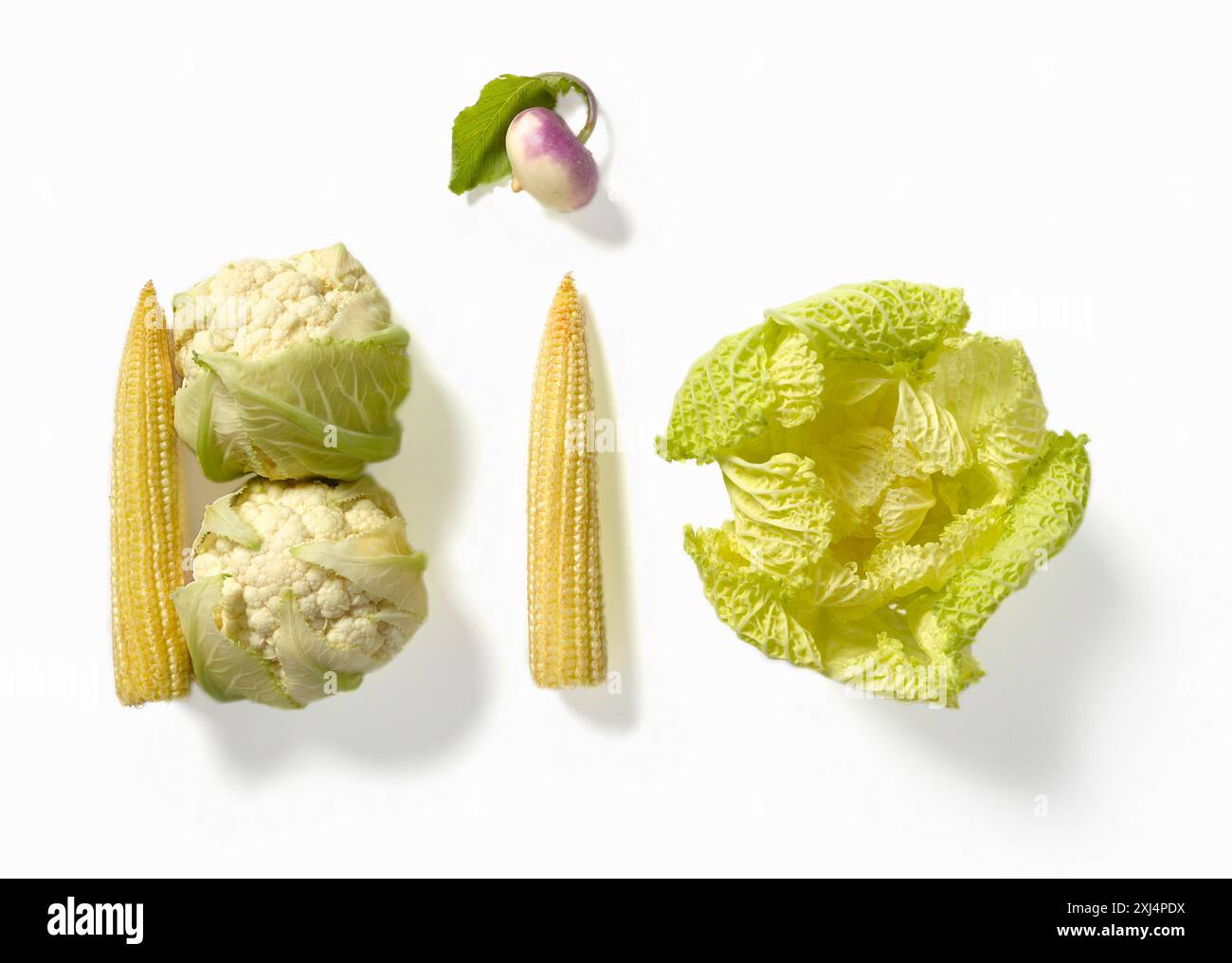 Organic text written word Cut Out Stock Images & Pictures - Alamy