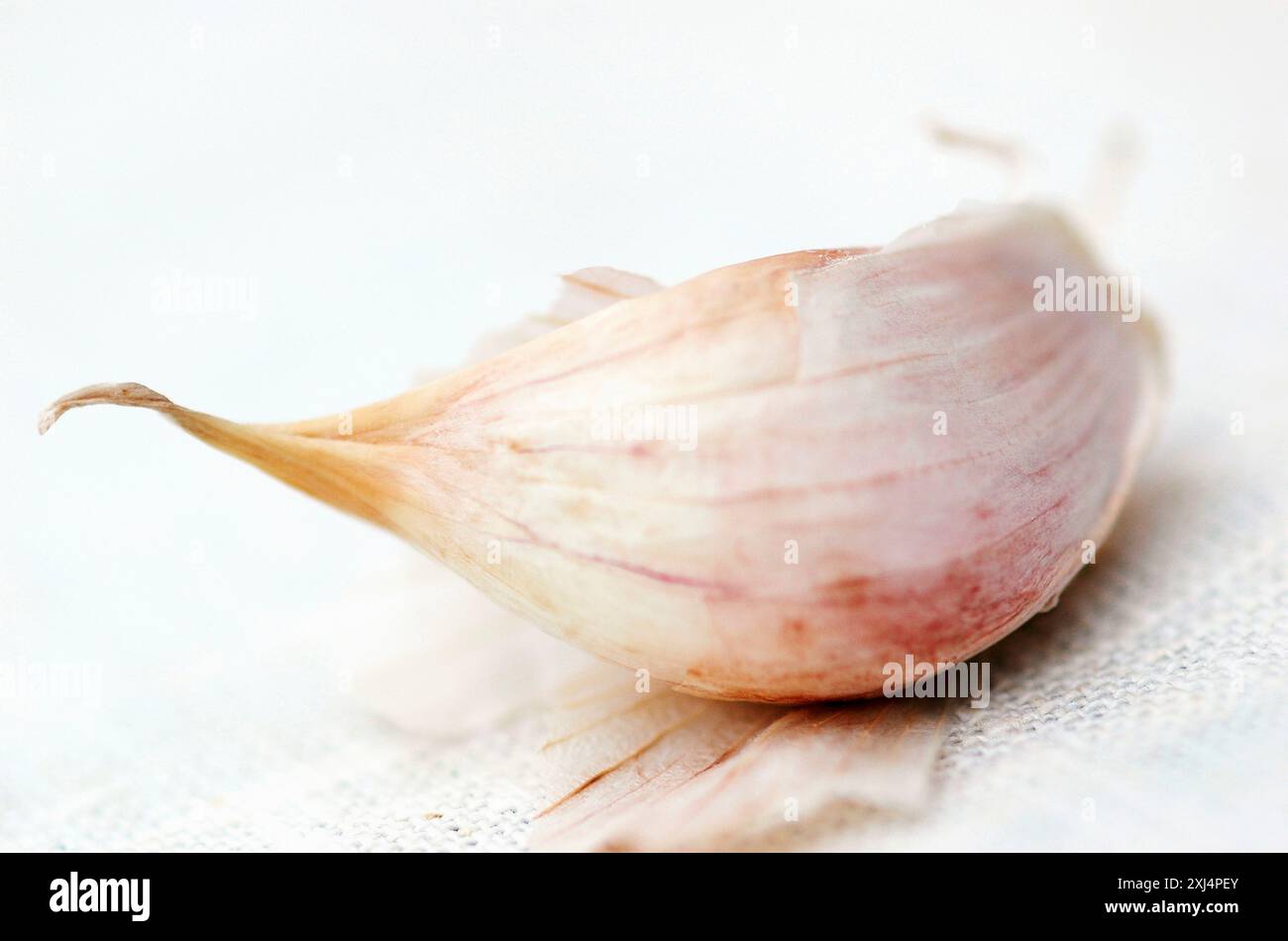 Clove of garlic Stock Photo - Alamy