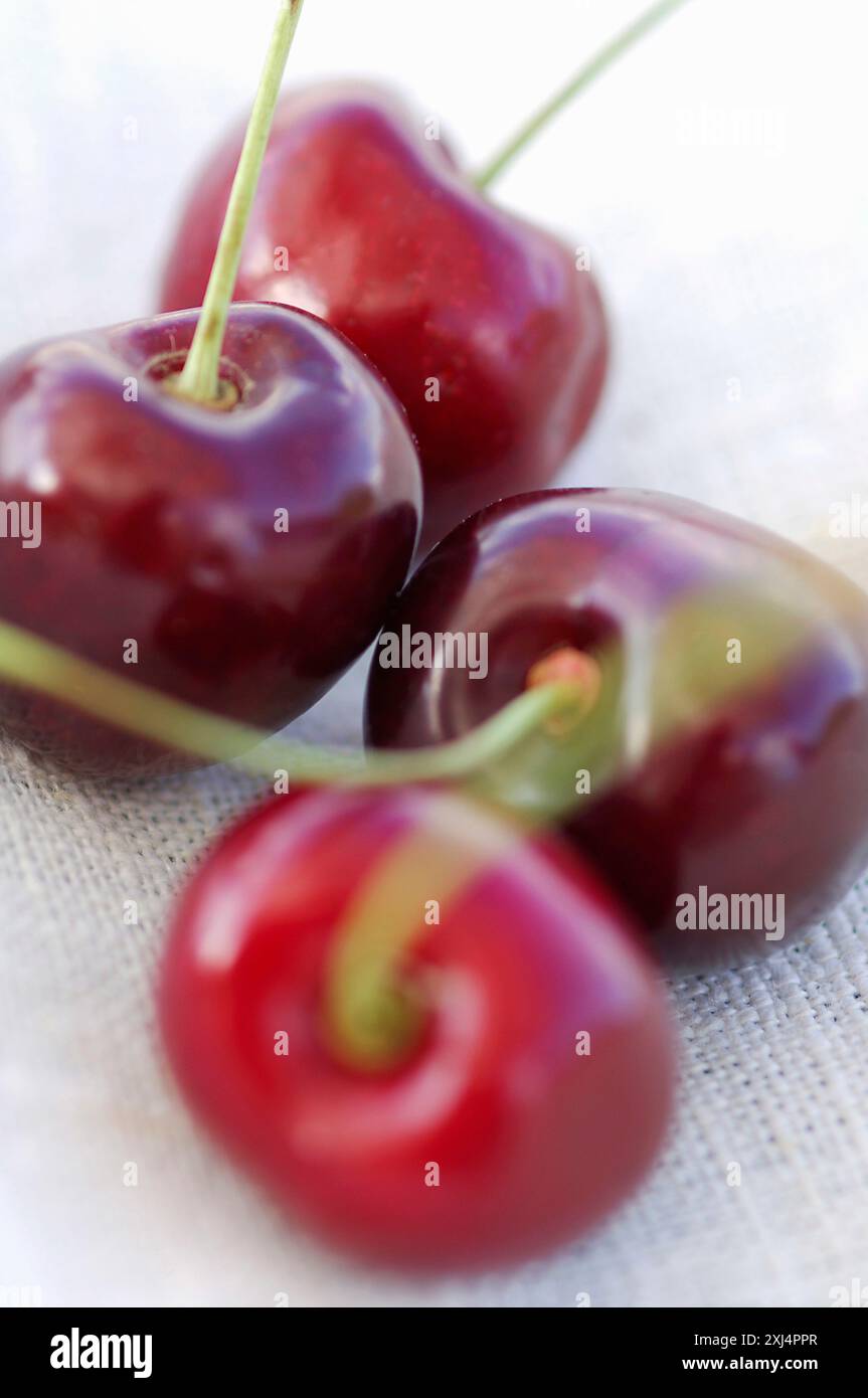 Four style cherries hi-res stock photography and images - Alamy