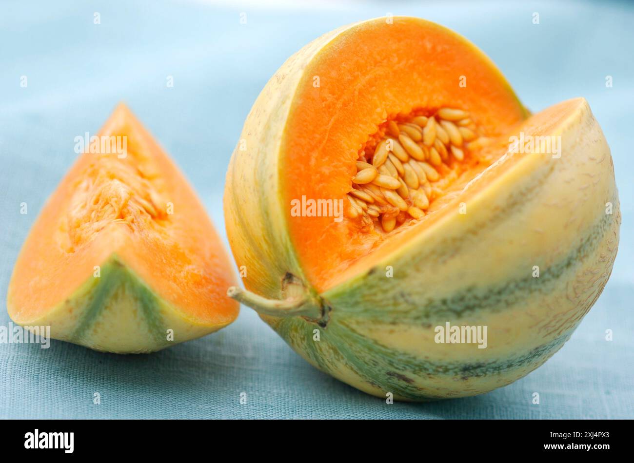 Open segment hi-res stock photography and images - Alamy