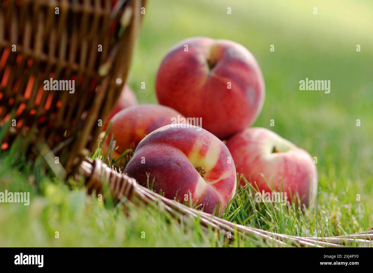Country peaches hi-res stock photography and images - Alamy