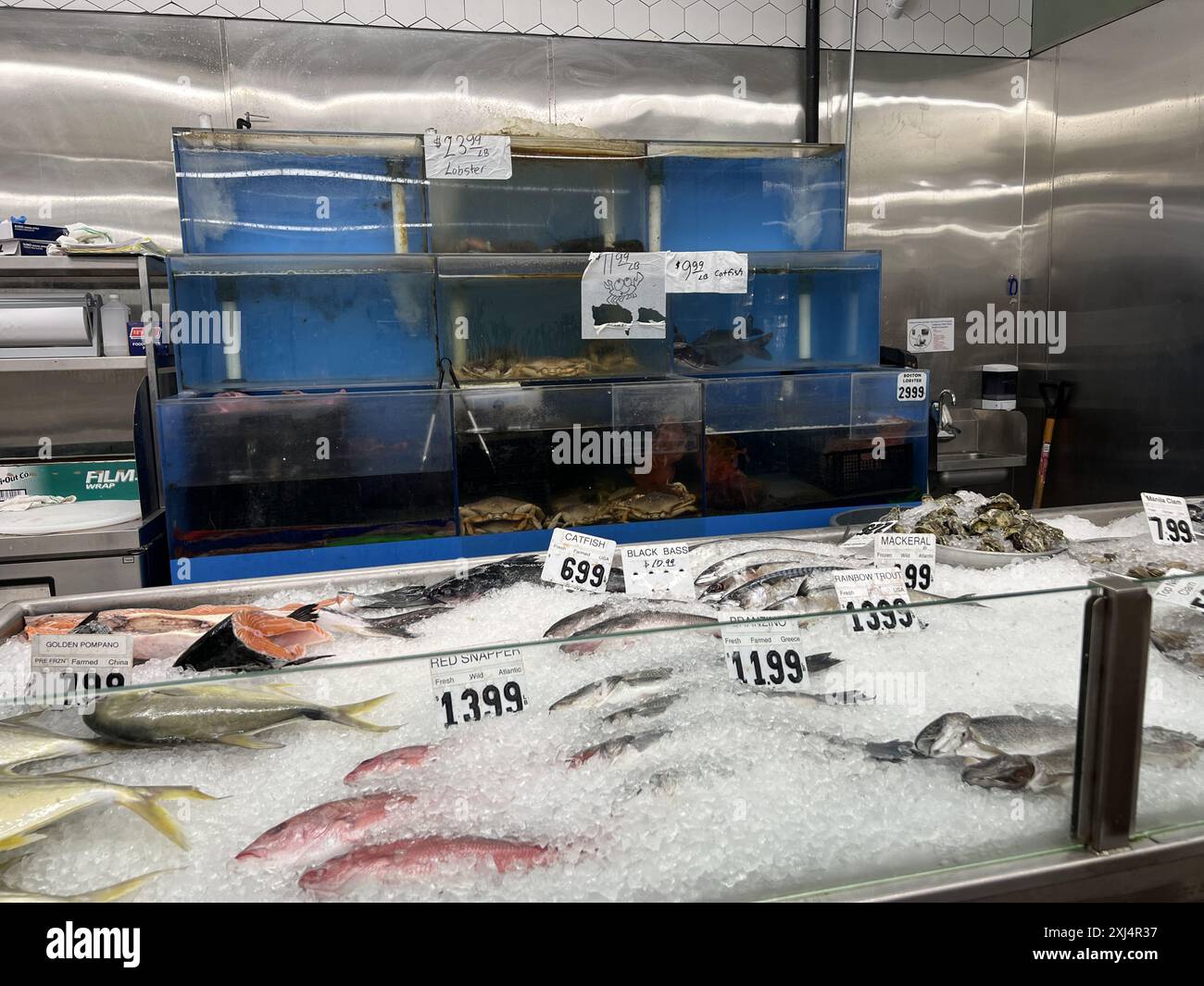Labeled fish hi-res stock photography and images - Alamy