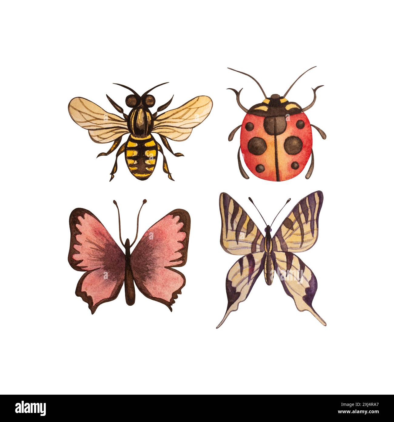 Butterfly, bee, ladybug, beetle, bug, insects, wasp. The illustration ...