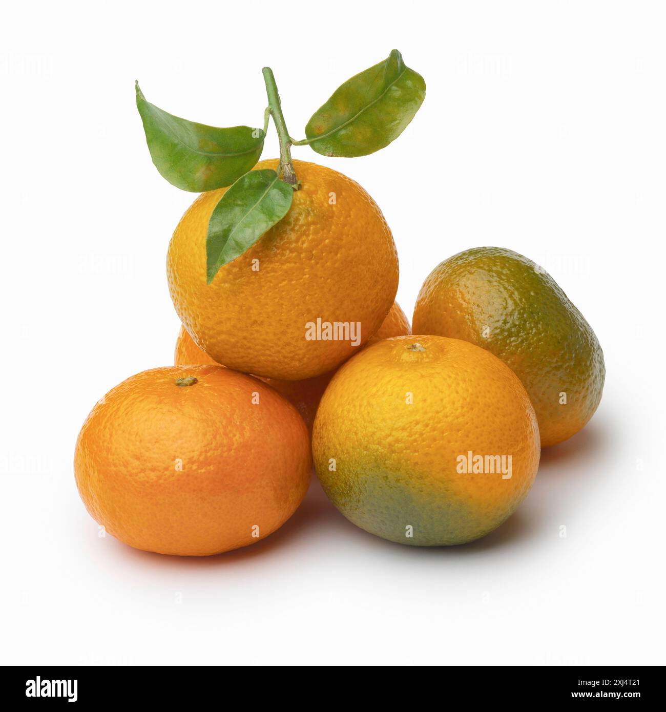 Full c Cut Out Stock Images & Pictures - Alamy