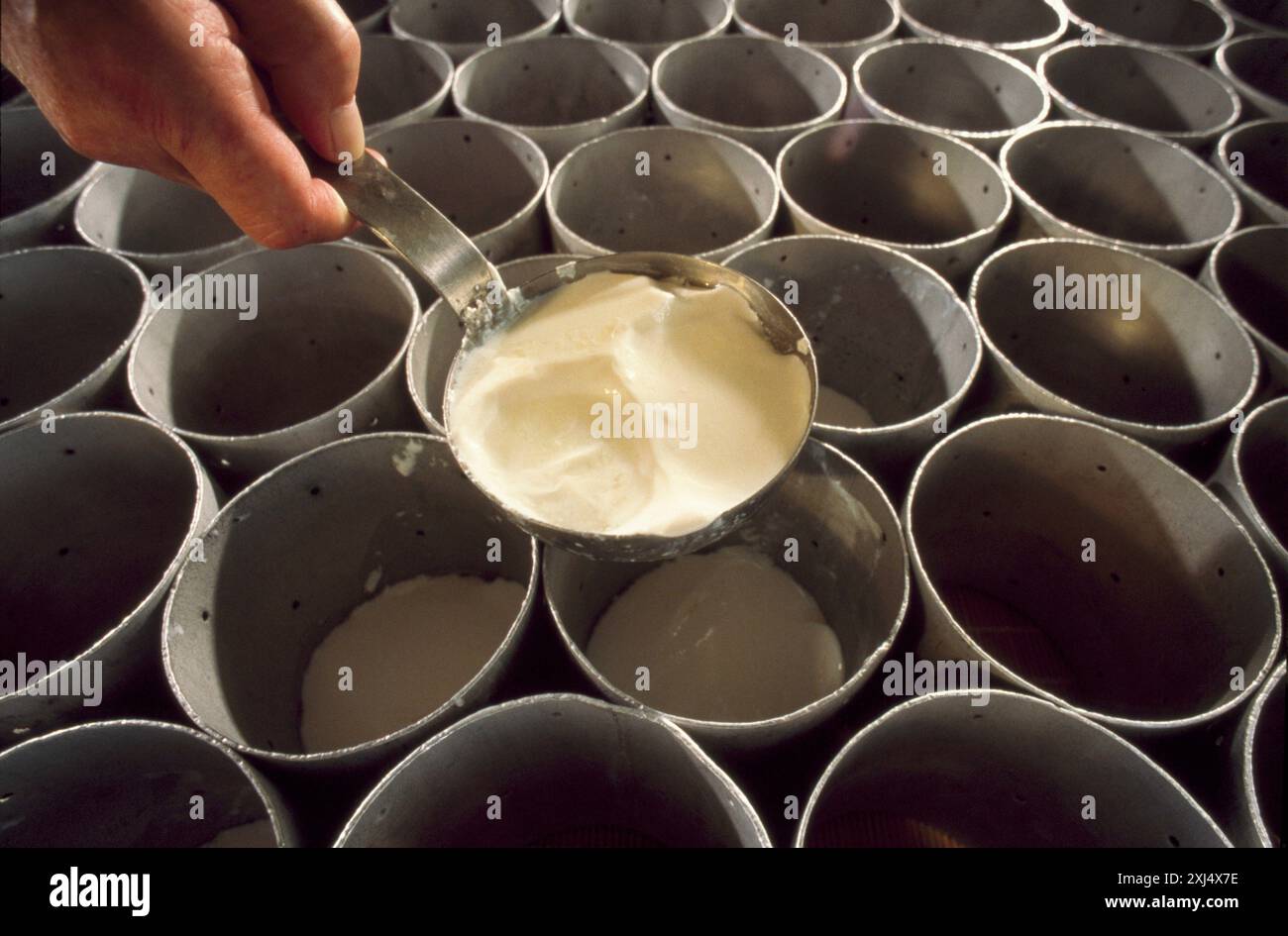 Filling the moulds with the curdling milk Stock Photo - Alamy