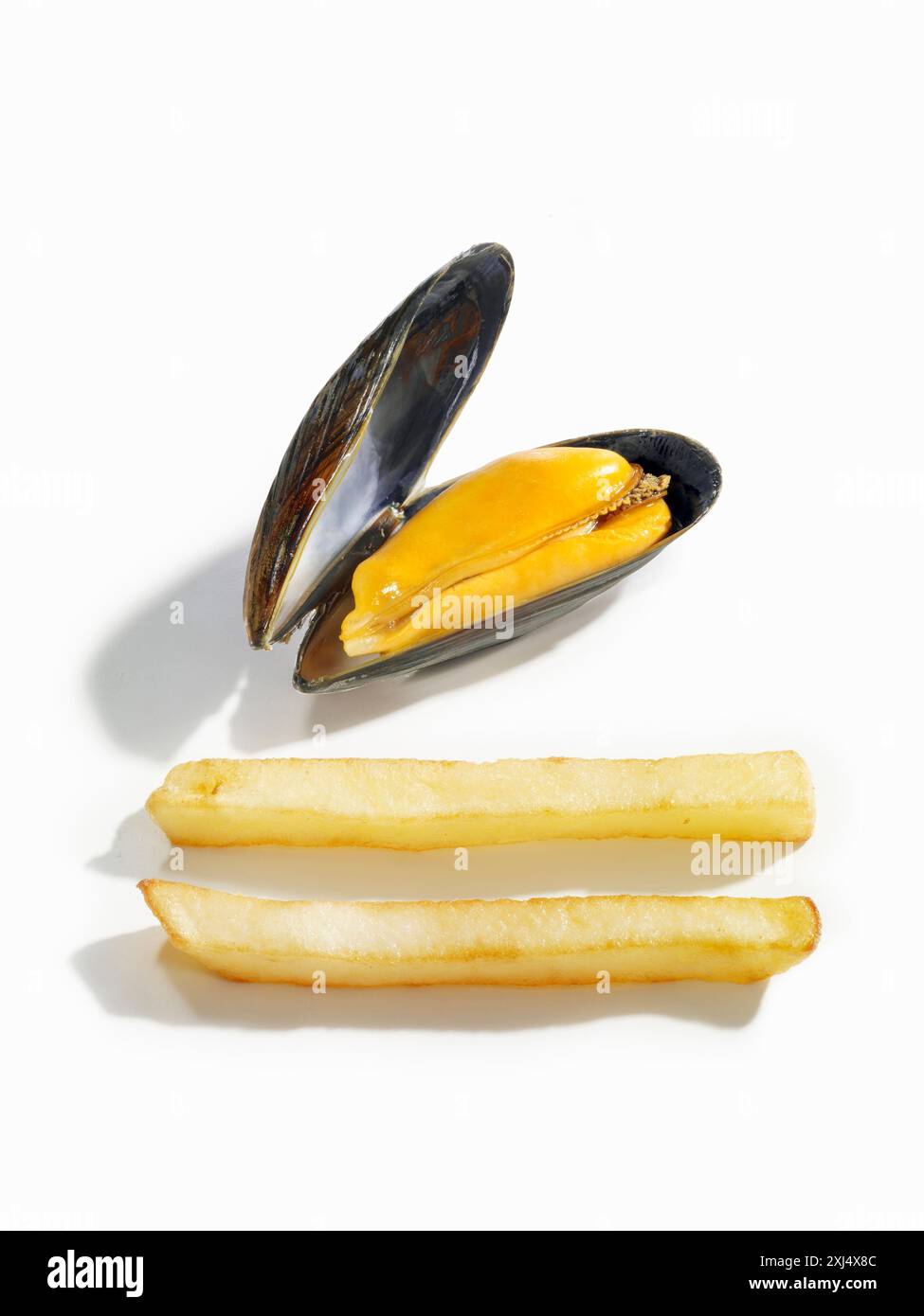 Open mussel shell Cut Out Stock Images & Pictures - Alamy