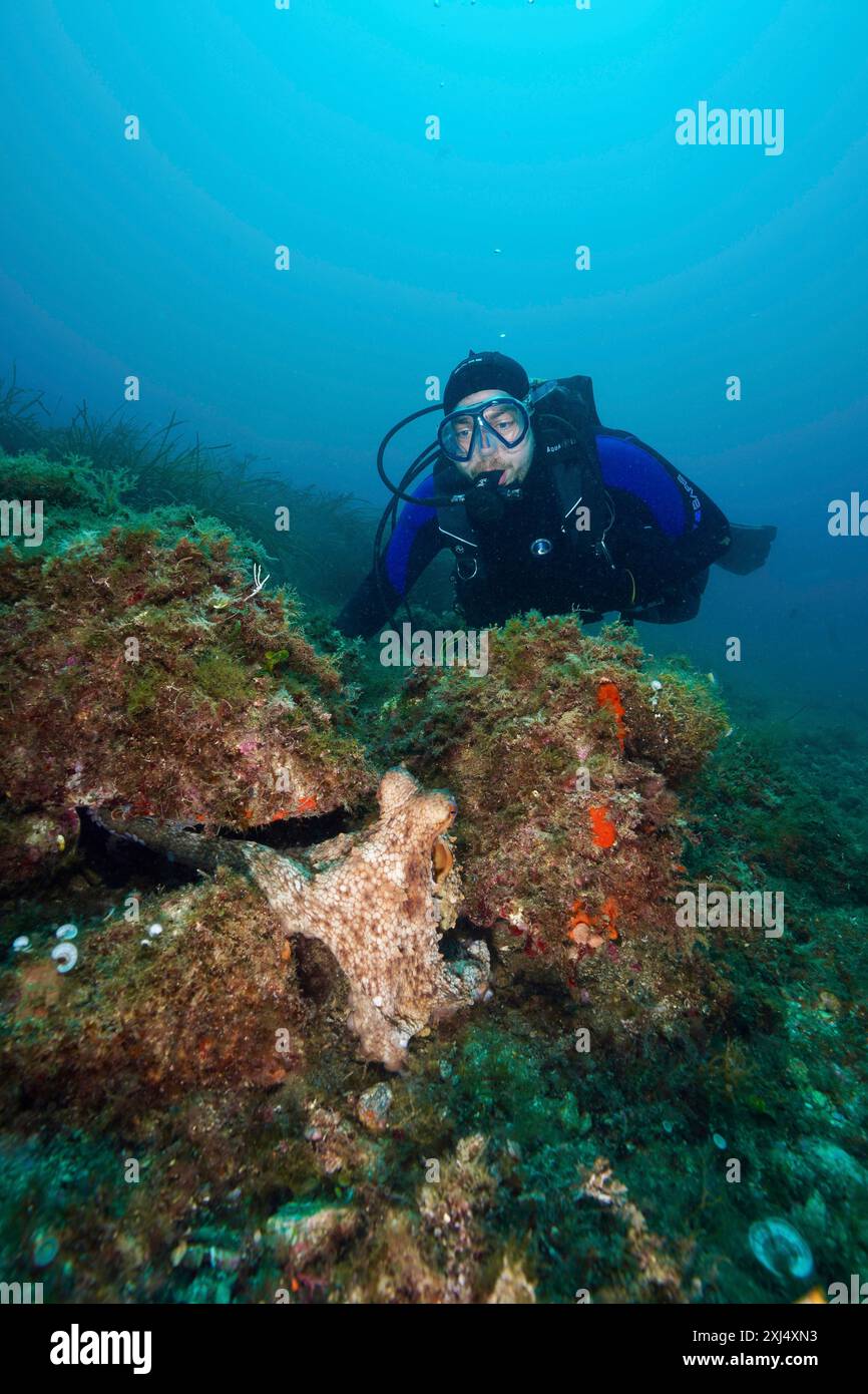 Reserve apparatus hi-res stock photography and images - Alamy