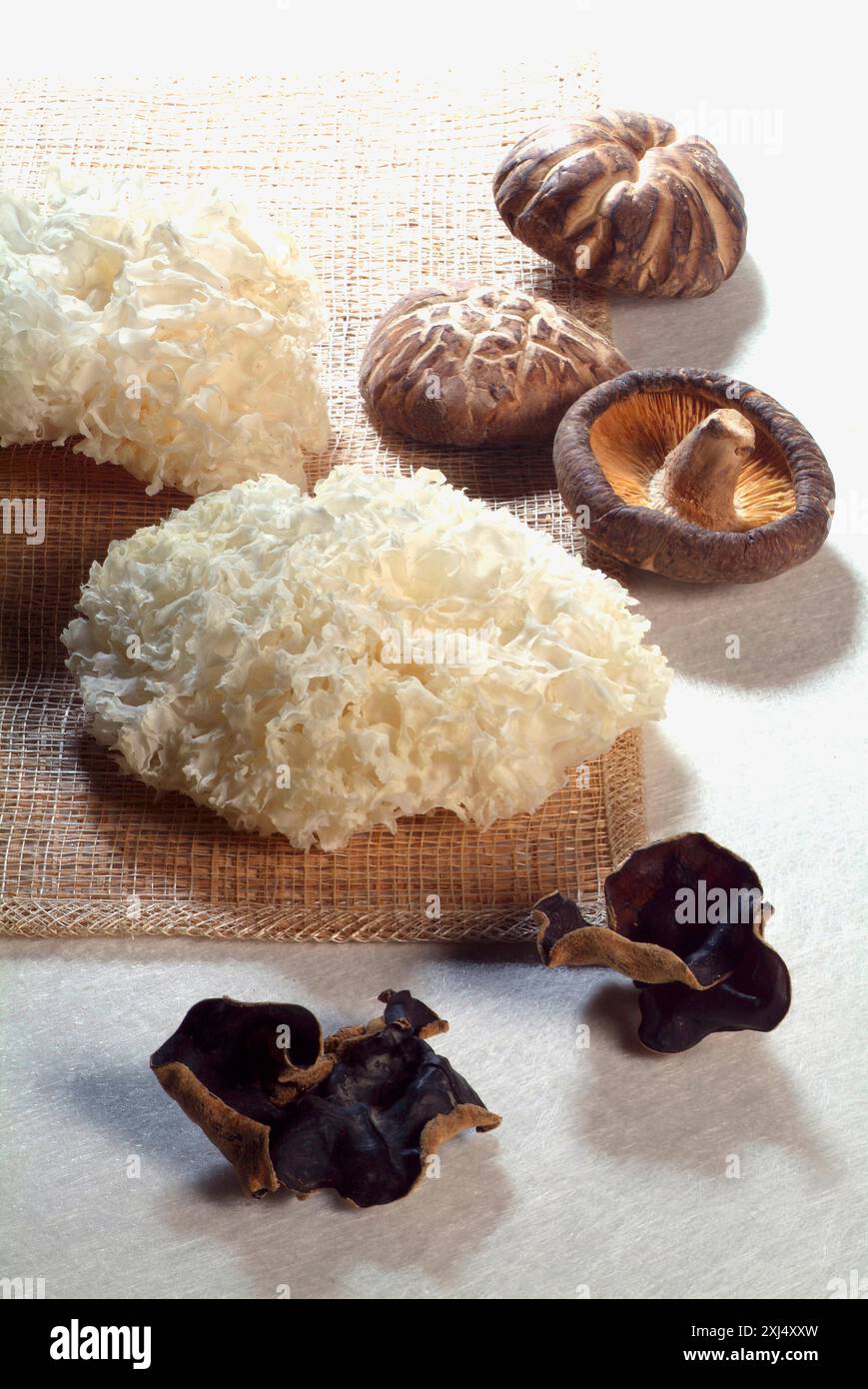 Dried chinese mushrooms Stock Photo - Alamy