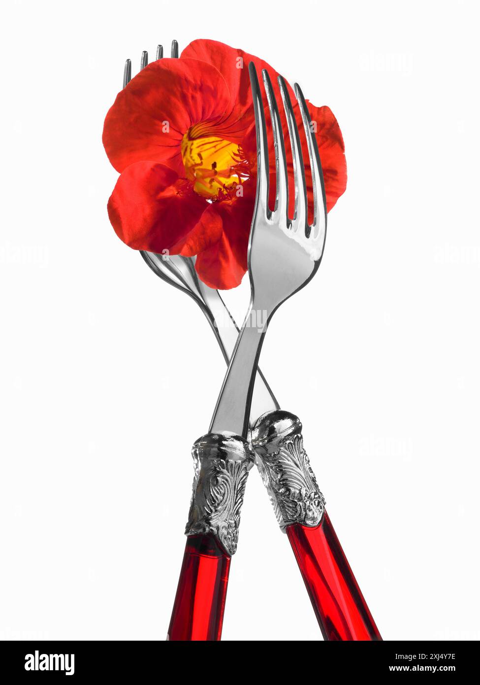 Crossed forks Cut Out Stock Images & Pictures - Alamy