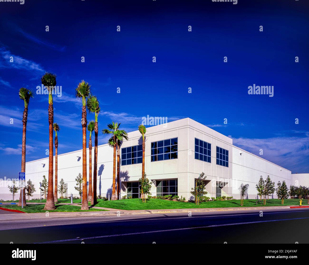 A new commercial building with palm trees and landscaping Stock Photo ...