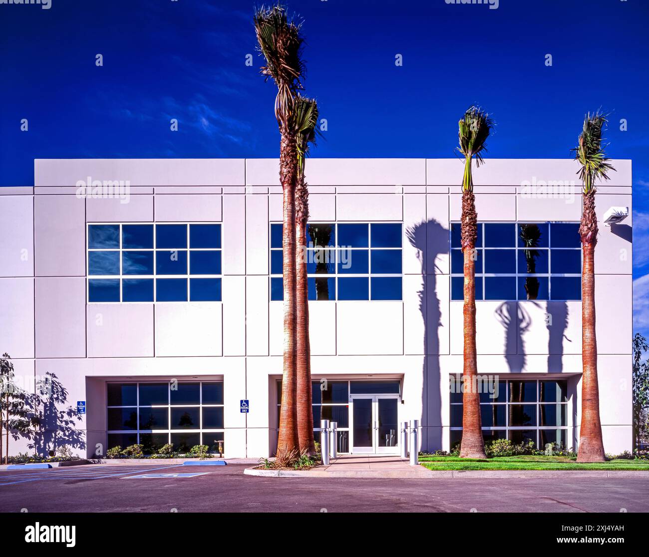 A new commercial building with palm trees and landscaping Stock Photo ...