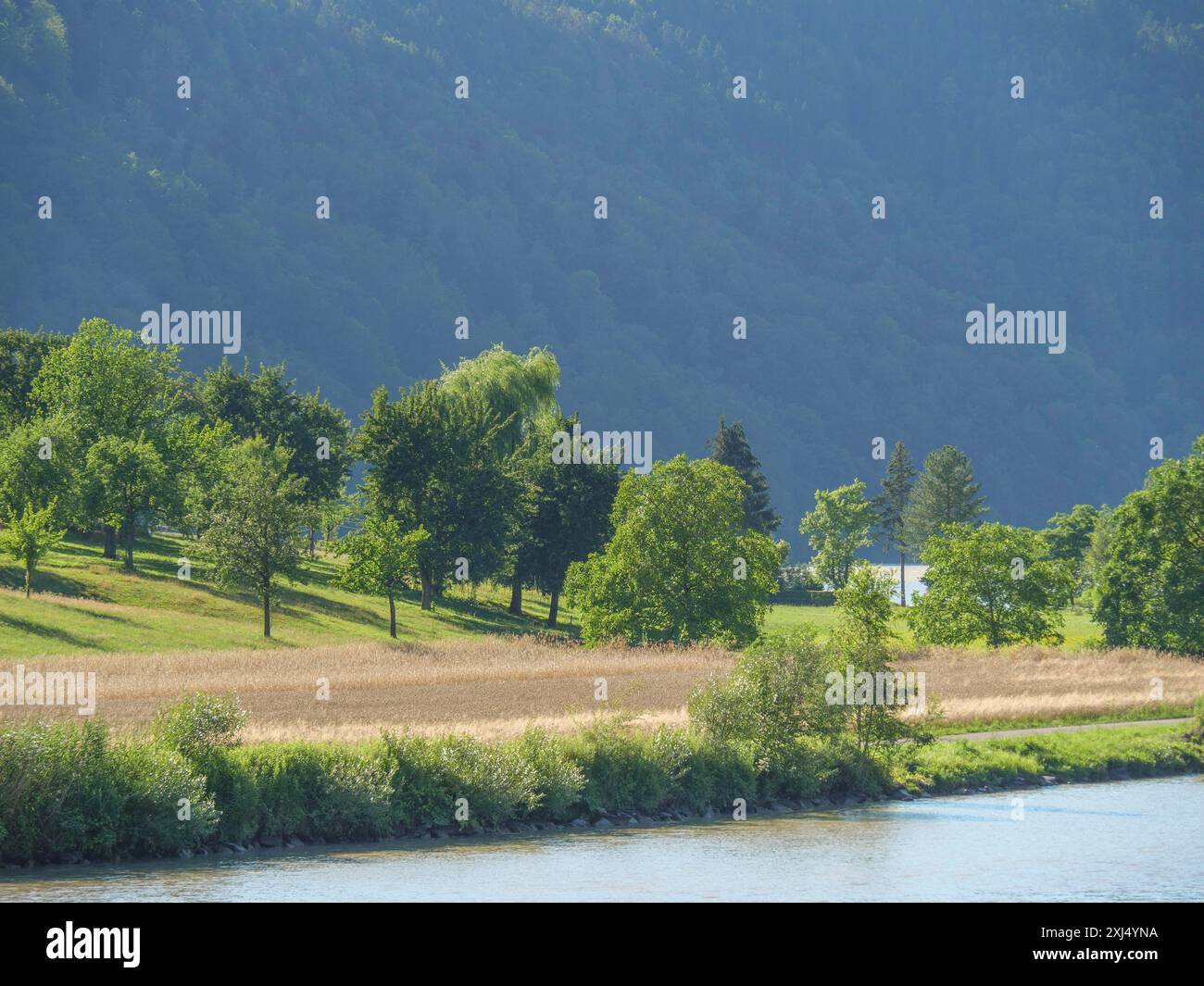 A calm river flows through a green landscape with meadows and trees ...