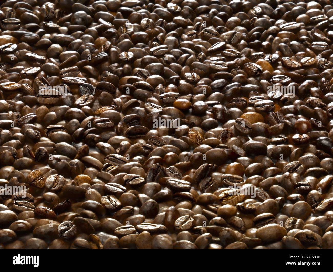 Bed of coffee beans Stock Photo - Alamy