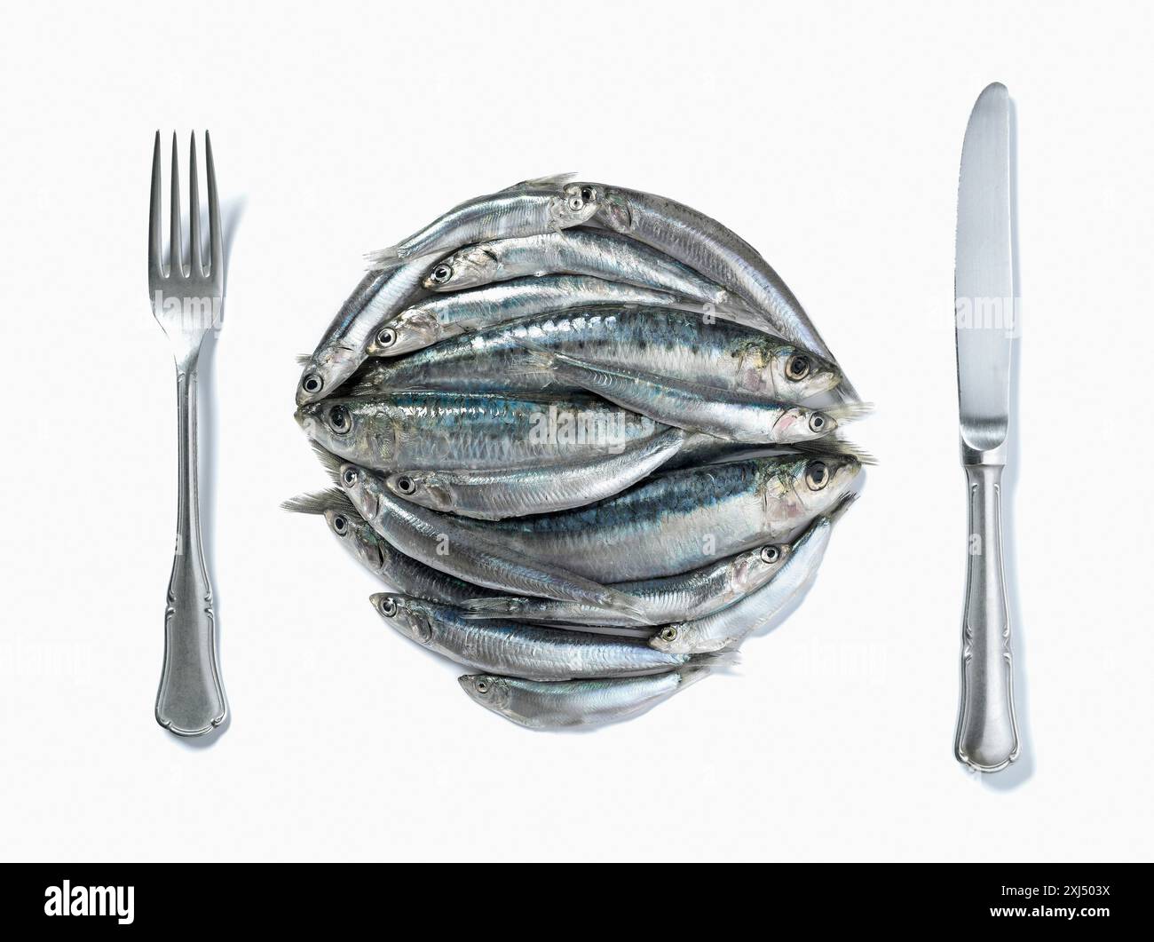 Raw sardines in the shape of a plate with knife and fork Stock Photo ...