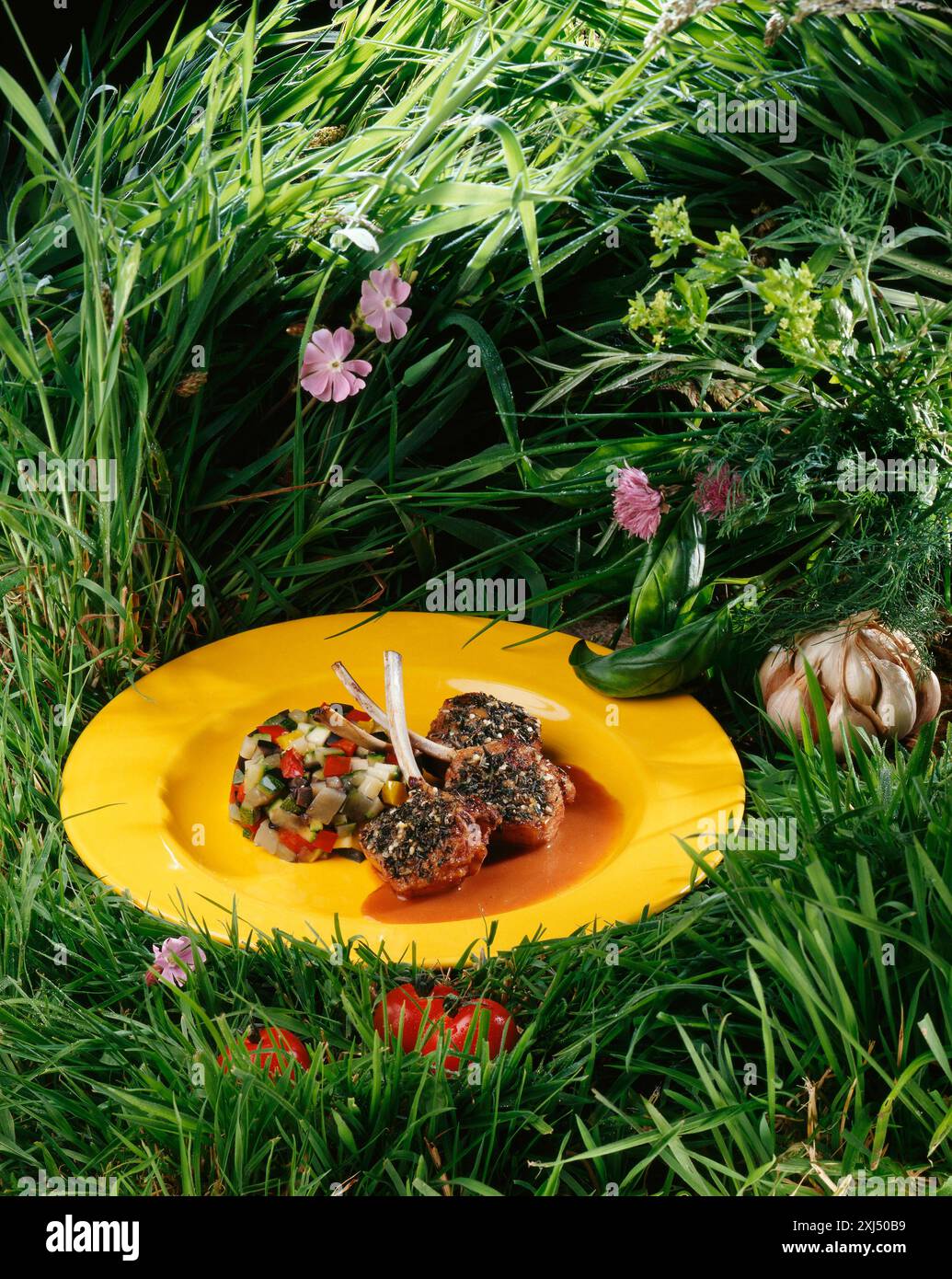Lamb chops with herbs and spring vegetable Timbale Stock Photo - Alamy