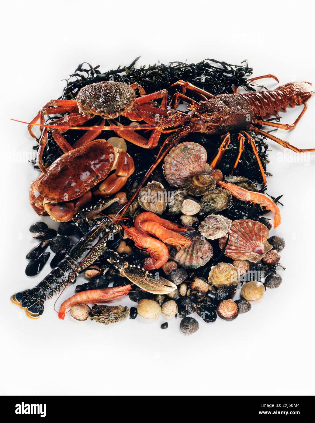 Seafood selection Cut Out Stock Images & Pictures - Alamy
