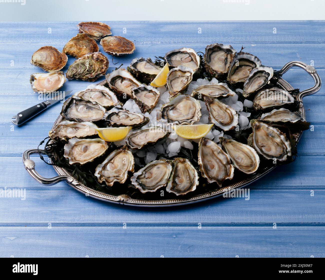 Oyster family hi-res stock photography and images - Alamy