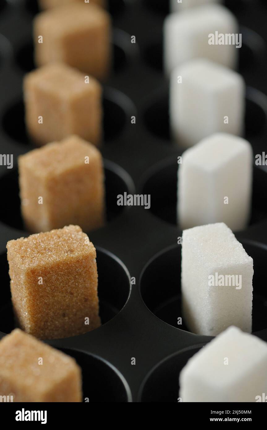 Lined up brown and white sugar lumps Stock Photo - Alamy
