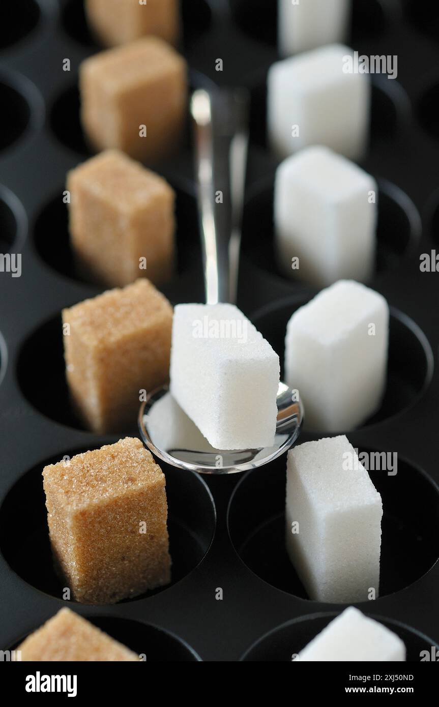 Lined up brown and white sugar lumps Stock Photo - Alamy