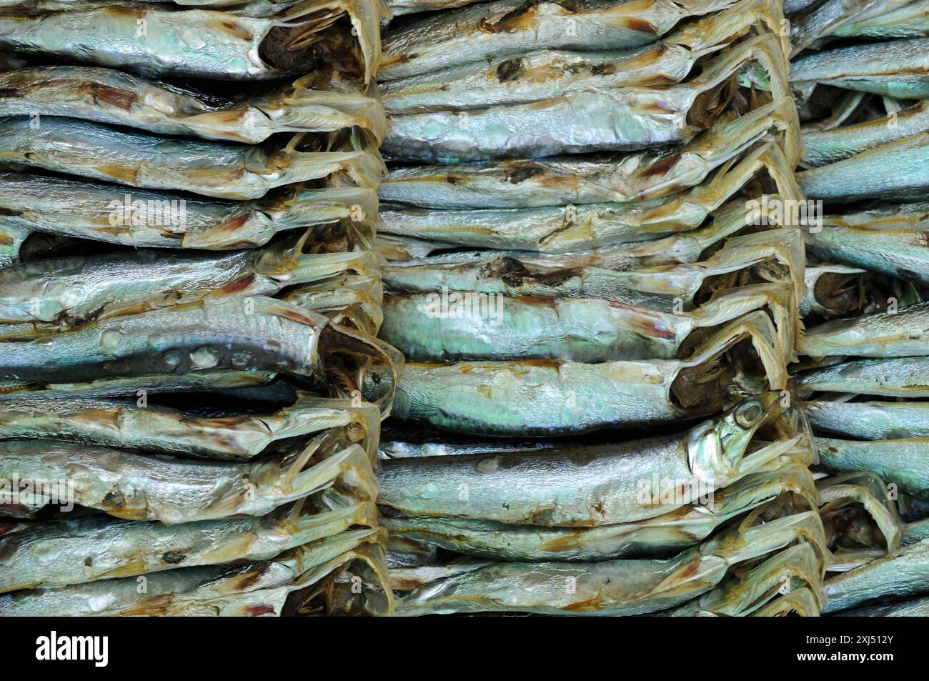 Fresh fish drying hi-res stock photography and images - Alamy