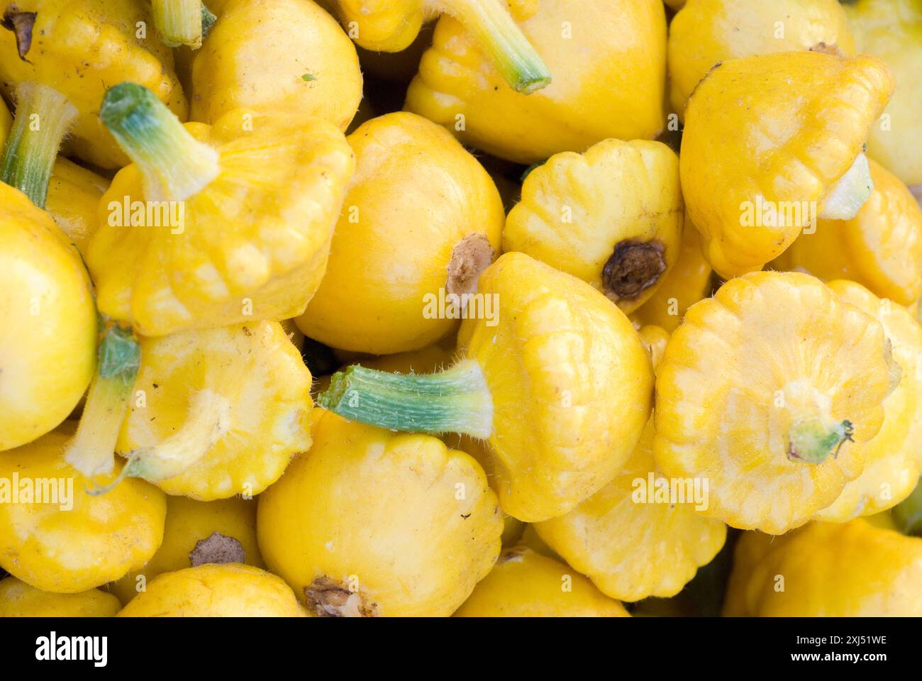 Squash melon hi-res stock photography and images - Alamy
