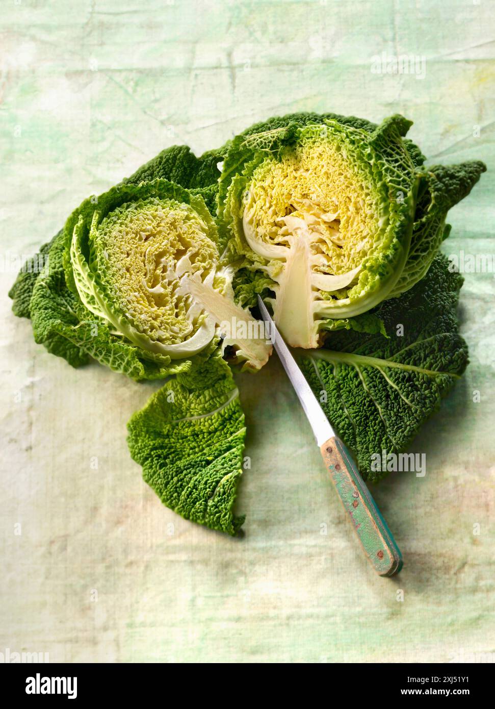 Cabbage ingredient hi-res stock photography and images - Alamy