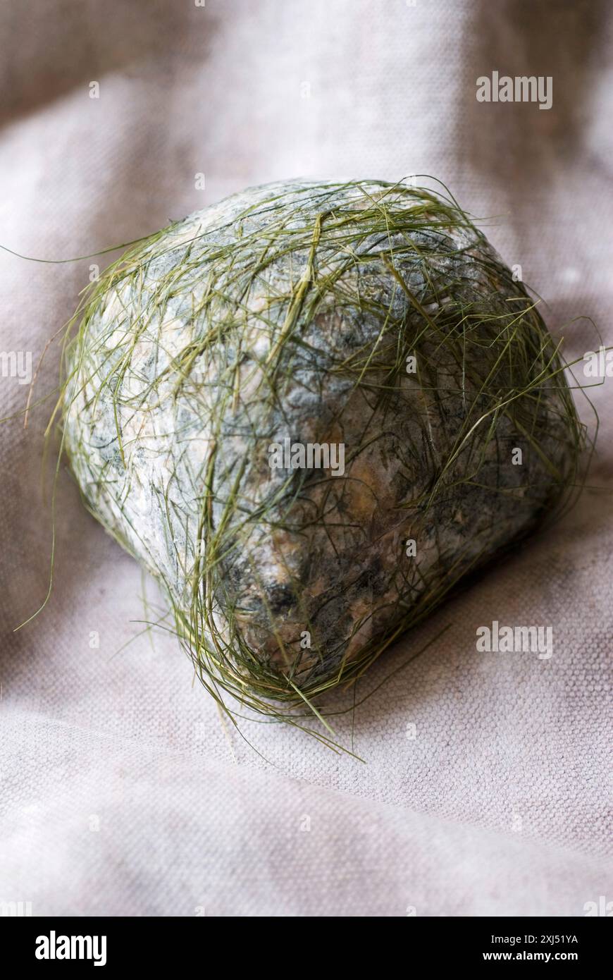 Ash goats cheese hi-res stock photography and images - Alamy