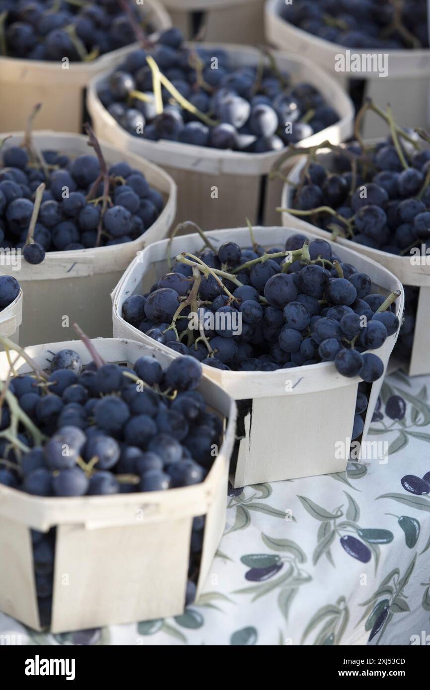 Punnets of black eating grapes Stock Photo - Alamy