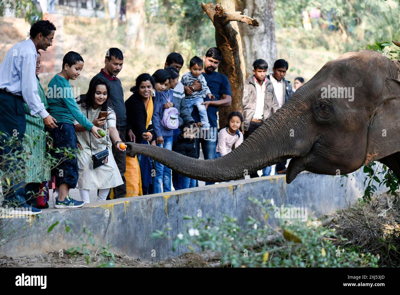 Visitors feed an elephant at Assam State Zoo, in Guwahati, Assam, India ...