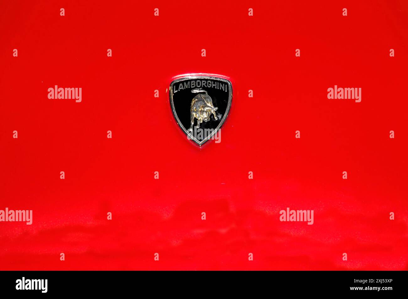 RETRO CLASSICS 2010, Stuttgart Trade Fair Centre, close-up of the red ...