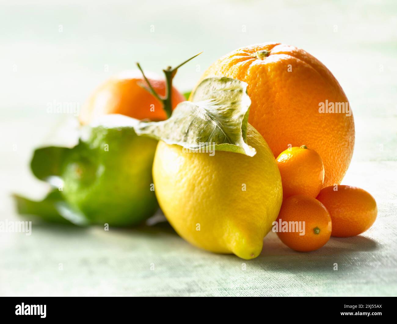 Selection of citrus fruit Stock Photo - Alamy