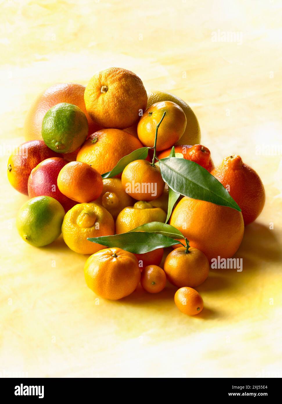 Citrus lemon orange clementine hi-res stock photography and images - Alamy