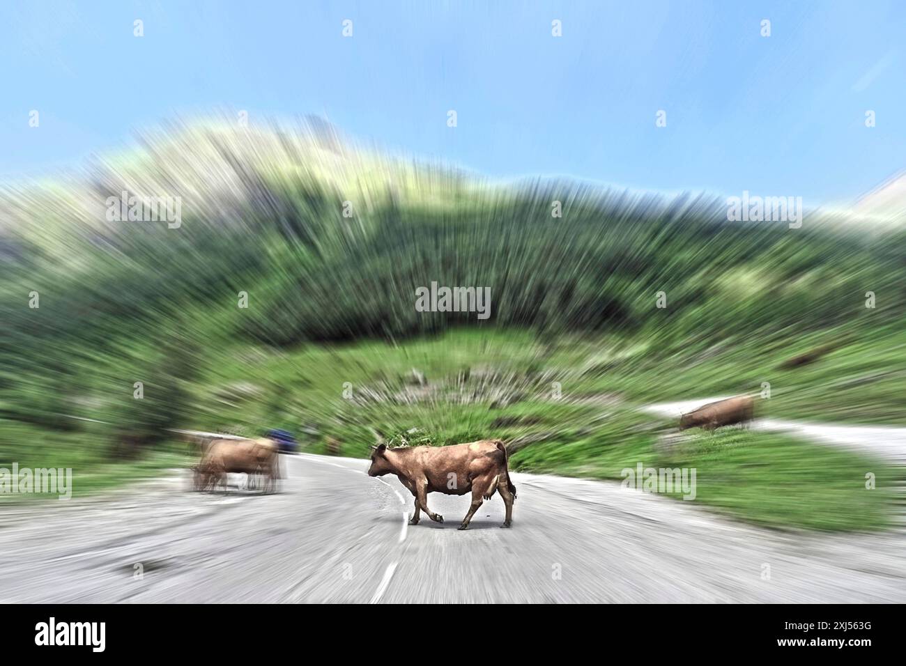 Dynamic photo with speed effect of speeding car driving at high speed ...