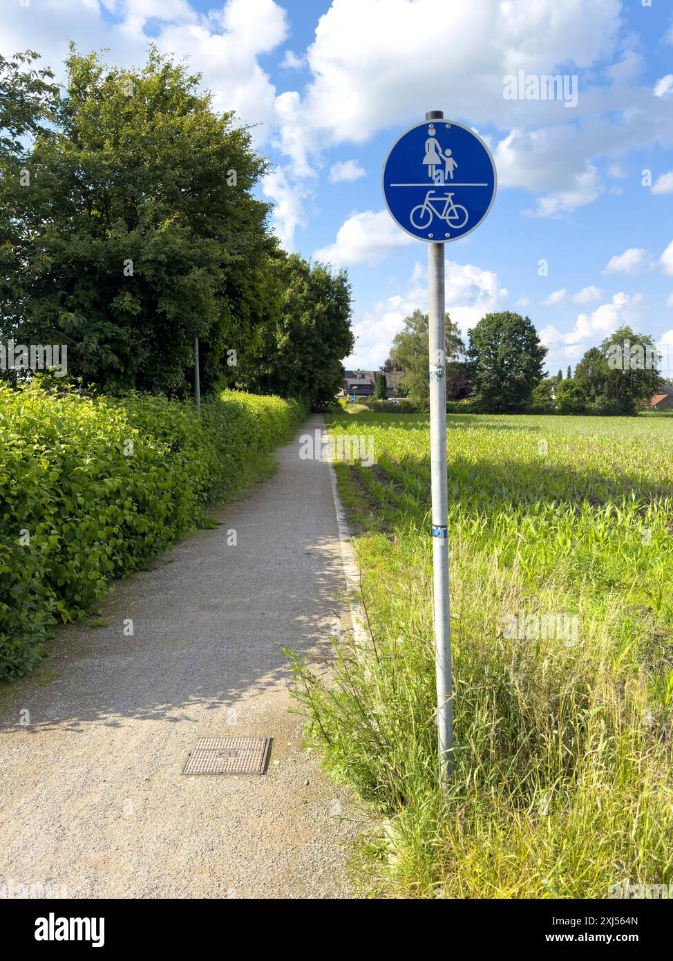 Traffic sign Special path for pedestrians Cyclists use path together Cyclists and moped riders ...