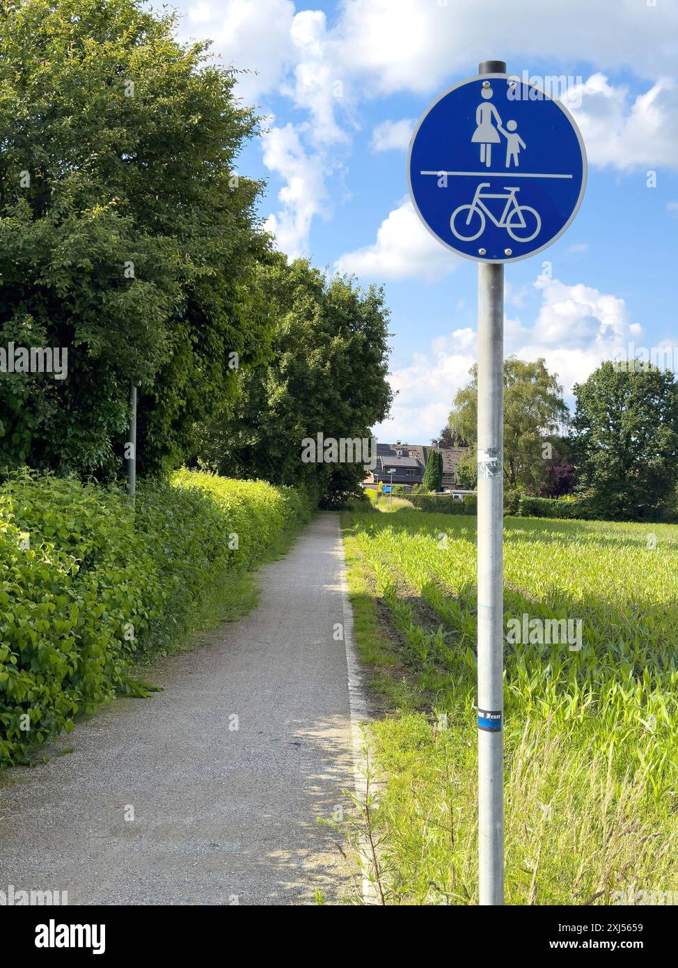 Traffic sign for special path for pedestrians Cyclists use path ...